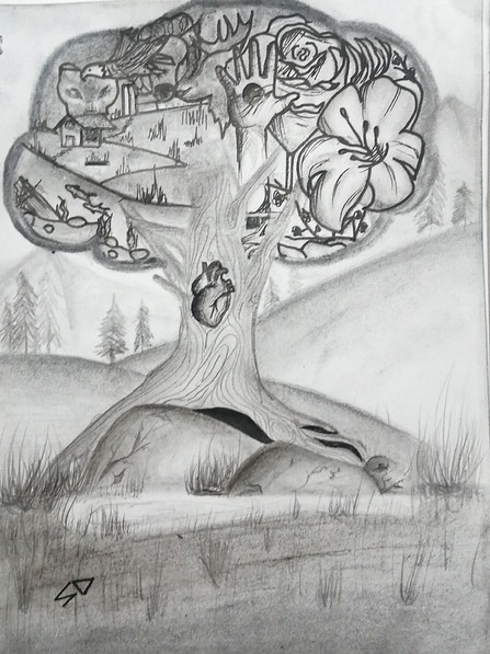 National Forest Week Art Contest | FORED BC SOCIETY