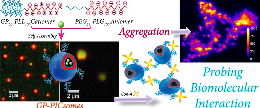 Bio Inspired Materials | My Site 2