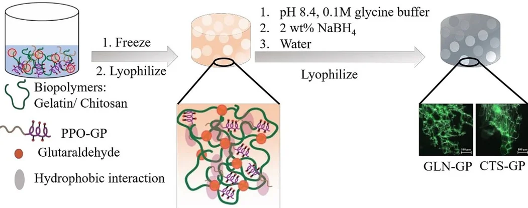 Bio Inspired Materials | My Site 2