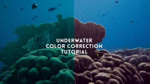 Underwater Color Correction Tutorial | ISRAEL GIL