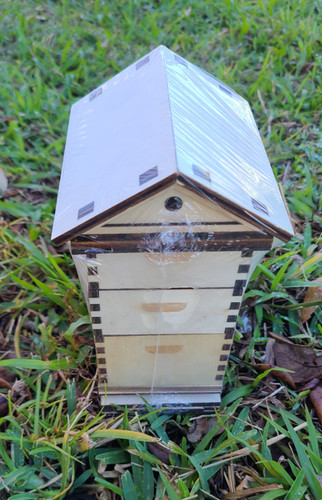 Beehive Model | Bee Ready 4 Anything