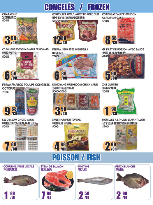 DT Flyer | Marche Newon