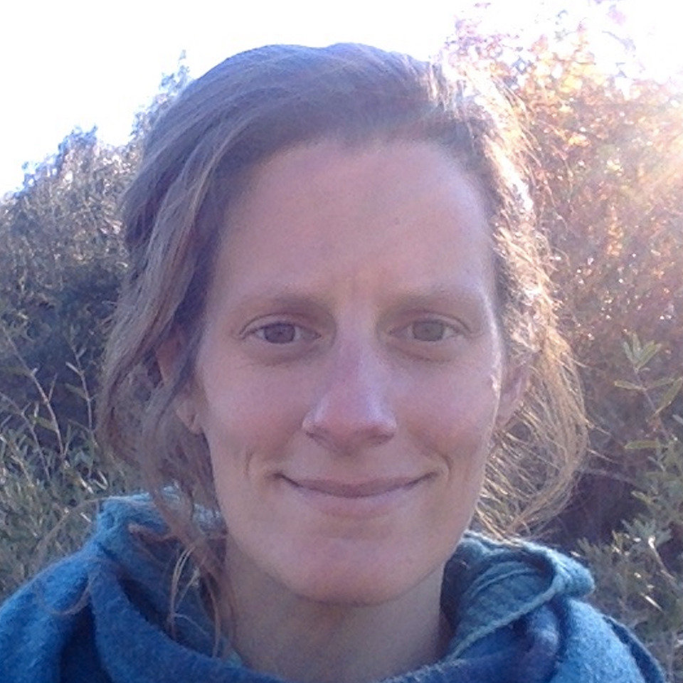 Open Lotus Living | white-light-events