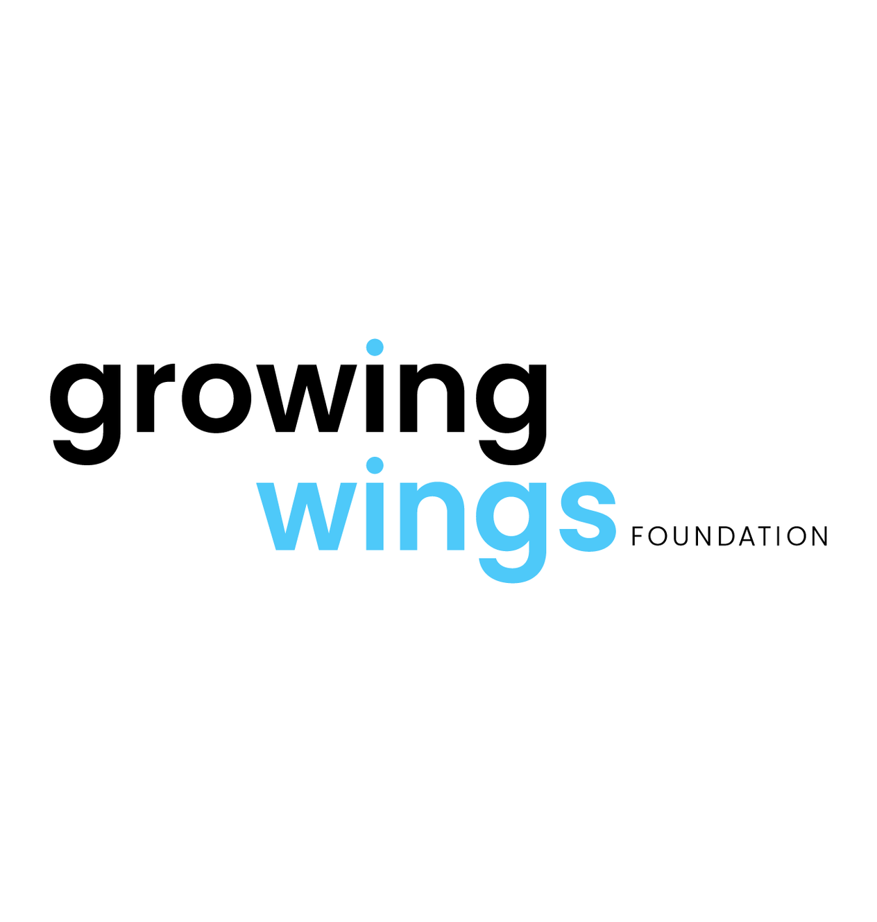 Lone Soldier Support Network | Growing Wings