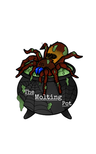 Ornithoctoninae sp. Vietnam Silver (Vietnam Silver) | The Molting Pot