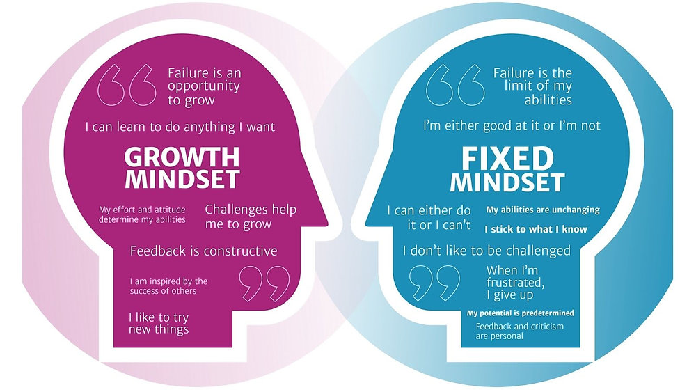 Why A Growth Mindset Should Be A Part Of Your Overall Business Strategy