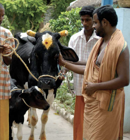 About Sri Narayani Peedam and Sri Sakthi AMMA