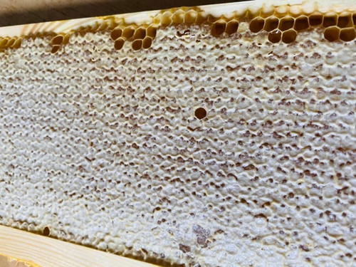 Full frame Pure HoneyComb | Pure Alt