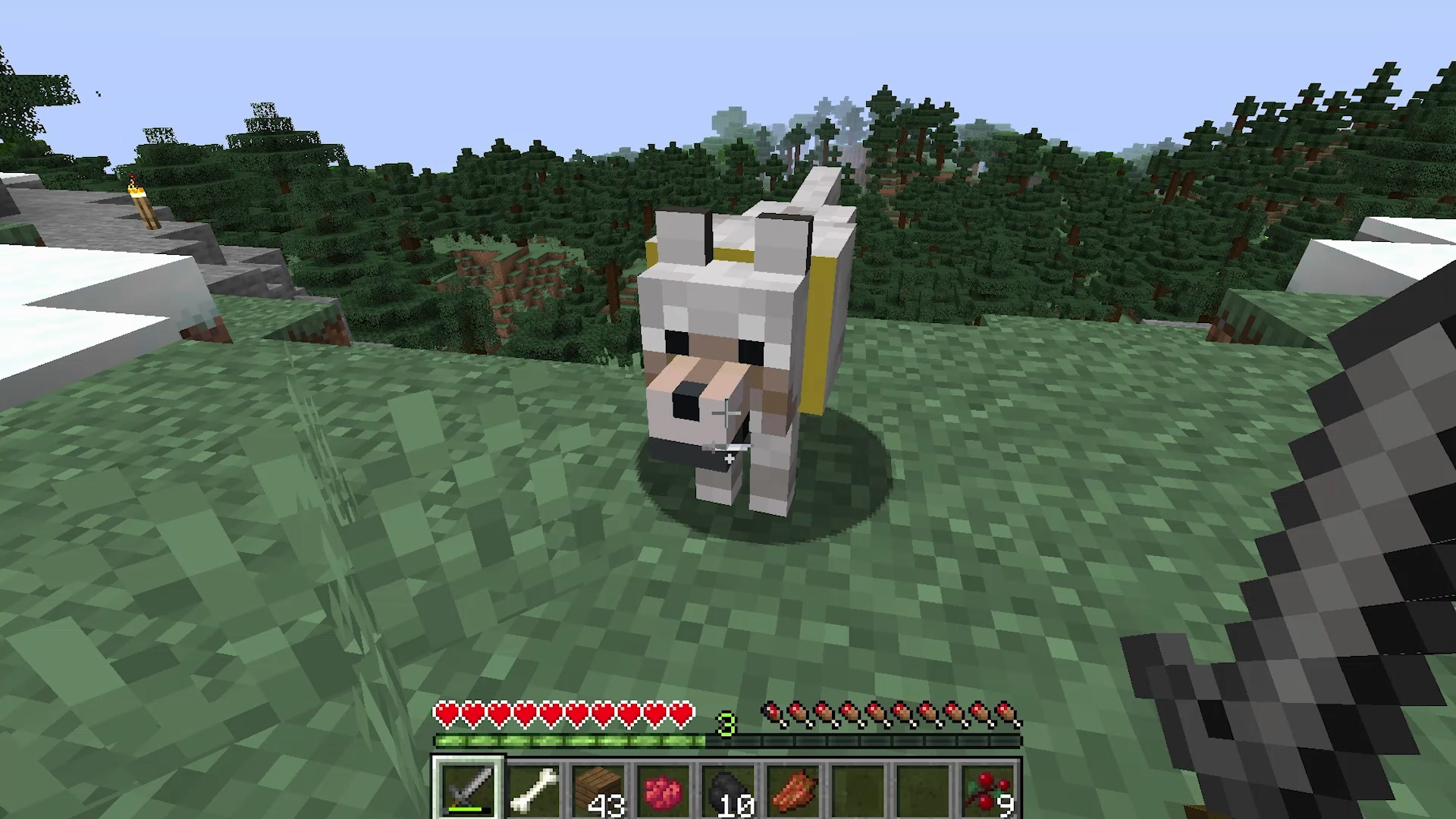 Ellie // Timeworks Studios