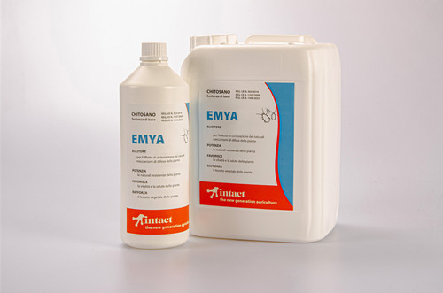 Emya | Evolis GmbH