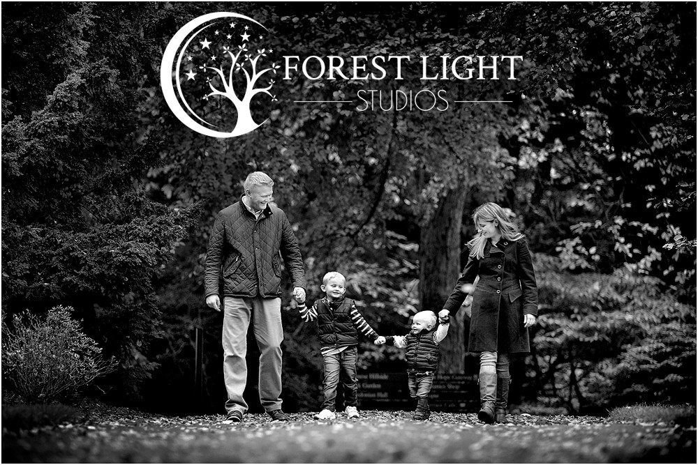 About | Forest Light Studios