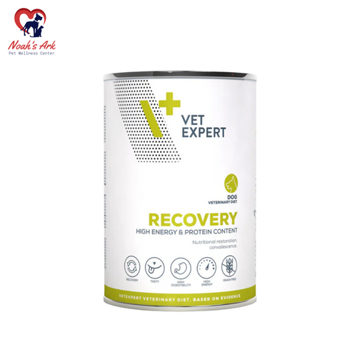 Vet Expert Recovery Dog in Can 400g | Noah's Ark PWC