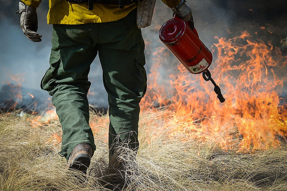 Increased wildfire prevention efforts can help reduce fire season danger