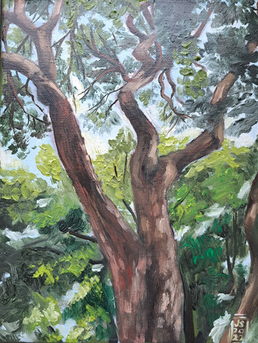 Dappled tree light | artist-st-andrews