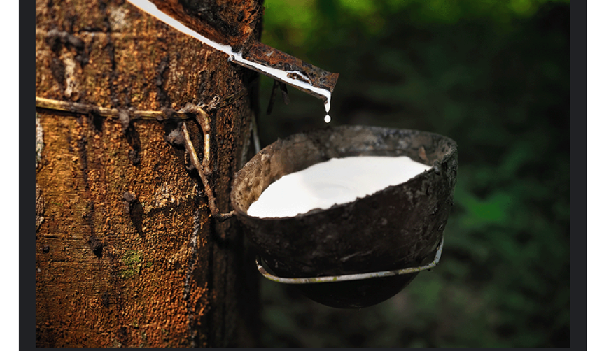 How rubber is made