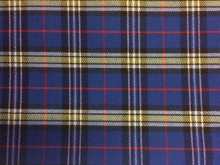 Royal Blue Plaid | Posh Pet's Boutique