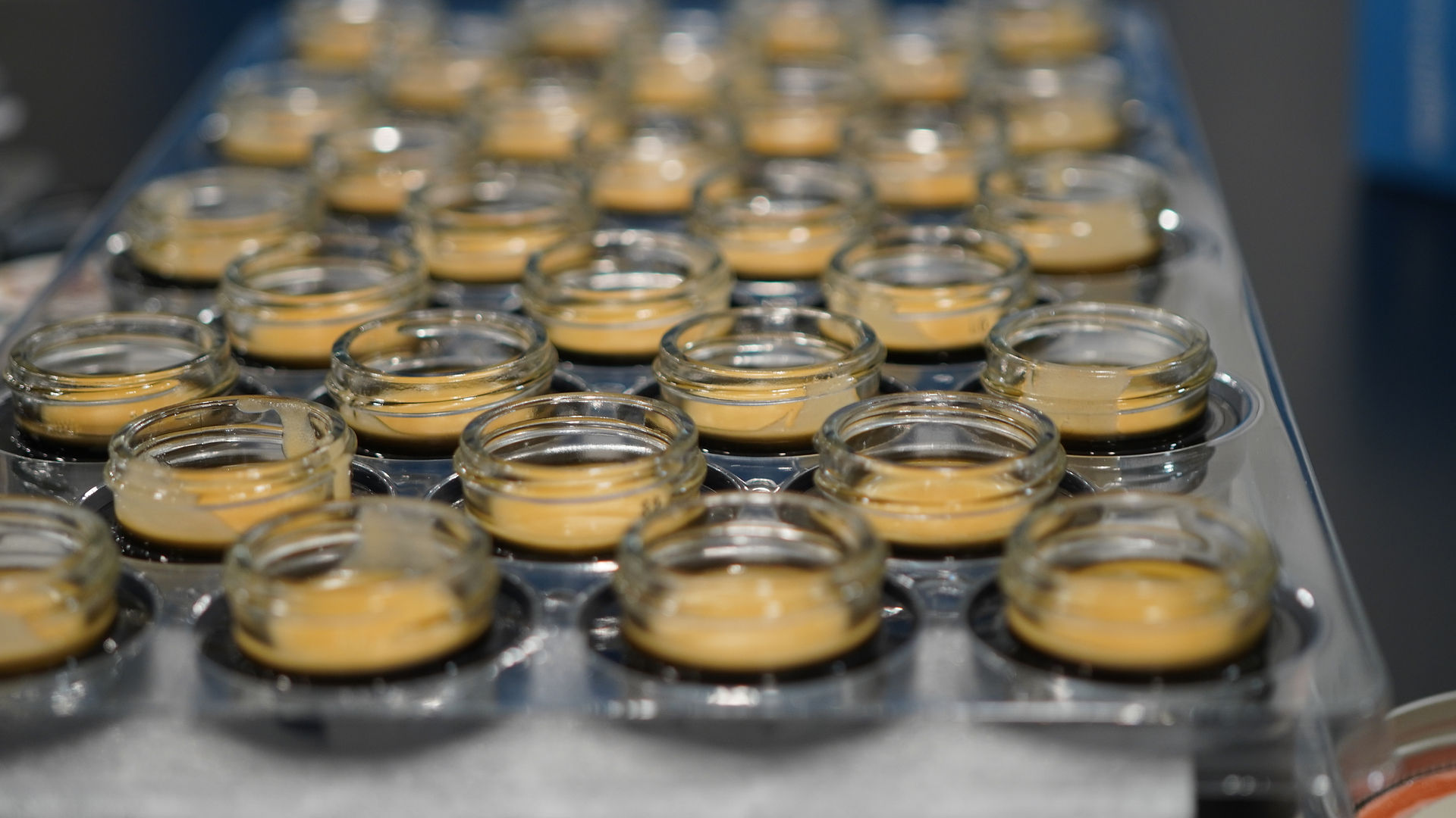 Cannabis Extraction Oklahoma | Doc Ferguson