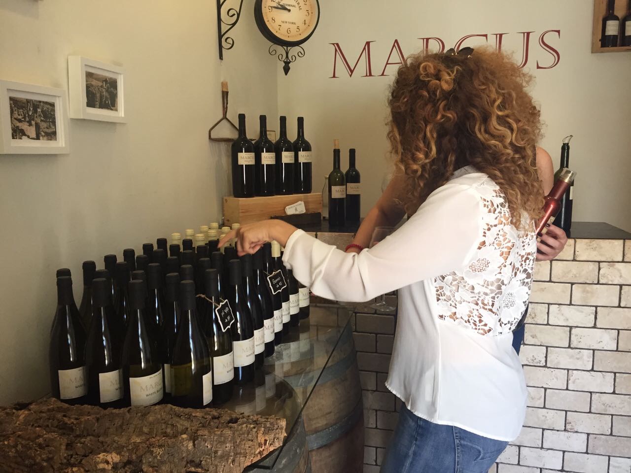 marcus winery יקב מרקוס