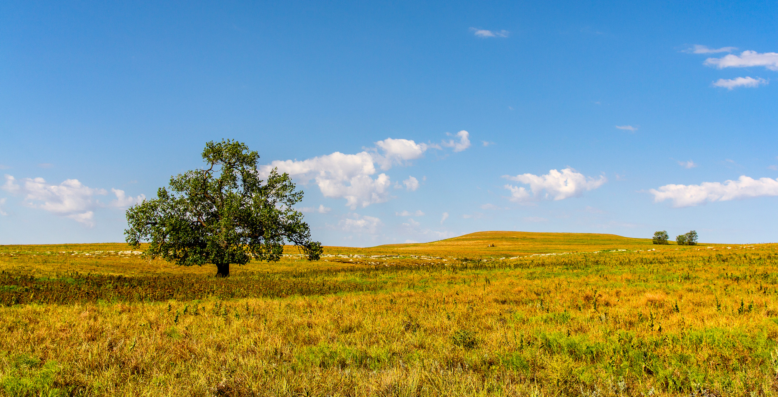 Flint Hills Regional Planning | hoxiecollective