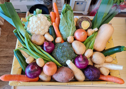 Large Vegetable gift hamper | T & T Fruits