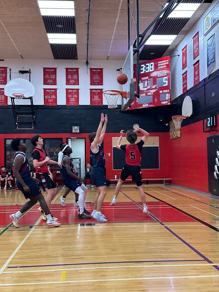 Panthers flash potential as season momentum builds