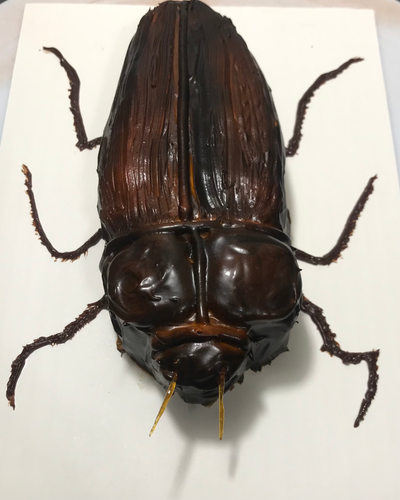 Roach Cake | Sugar Bandit