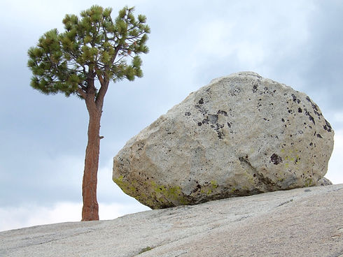 Isla Macdonald Counselling | psychotherapy | Bristol, UK