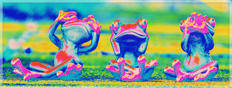 Tres formas de percibir el mundo Canales de comunicación