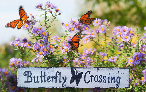 Butterfly Crossing Wood Sign | Lydia's Graphic Pall