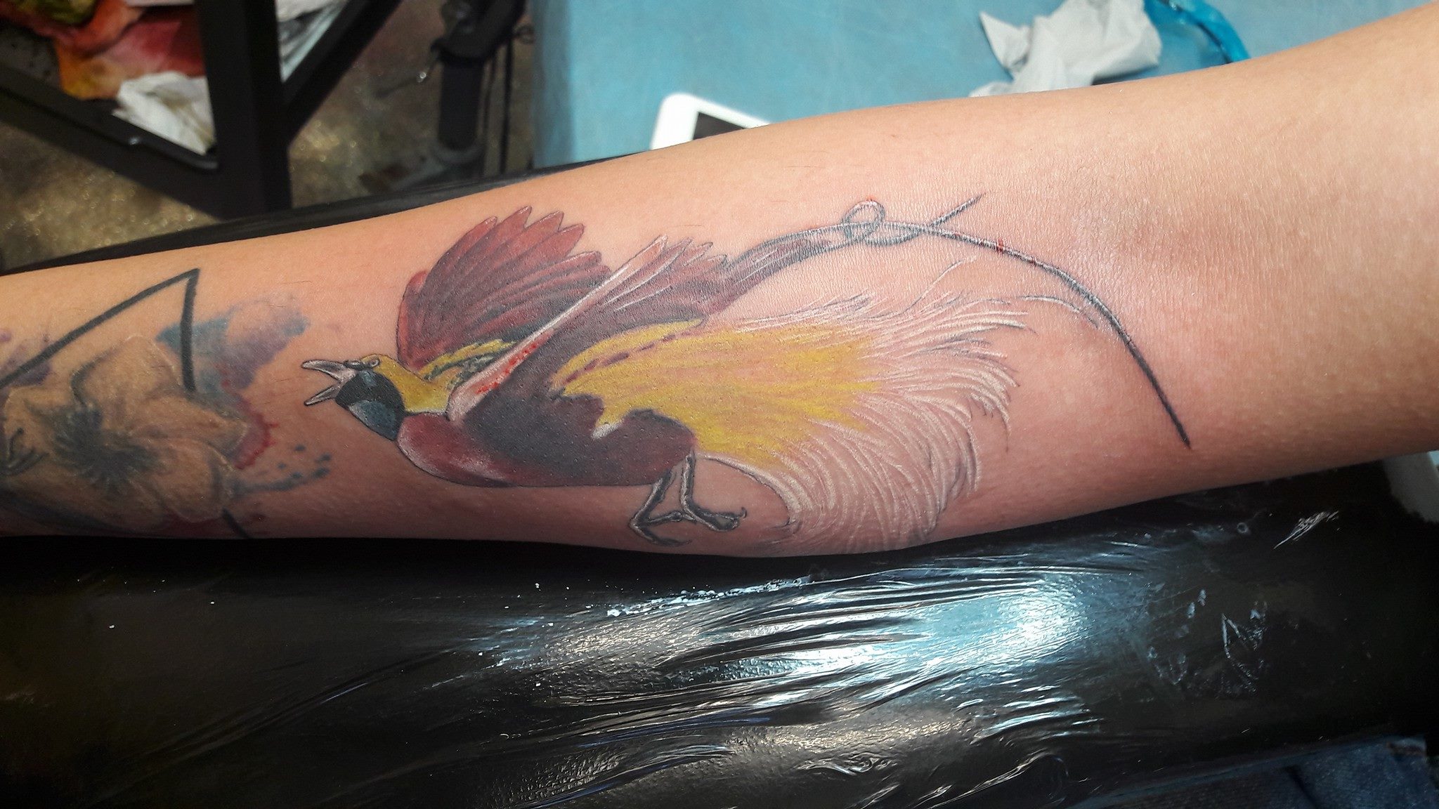 White Dragon Tattoo N8 Crouch End