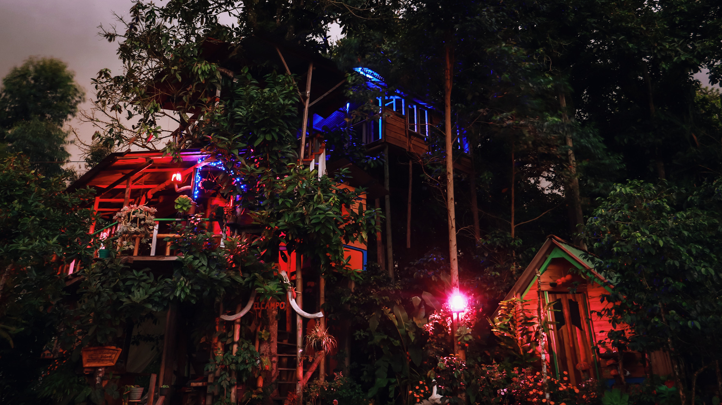 Inicio | Casa Del Árbol