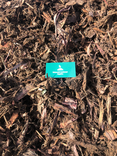 1" Hoop Pine | Helensvale