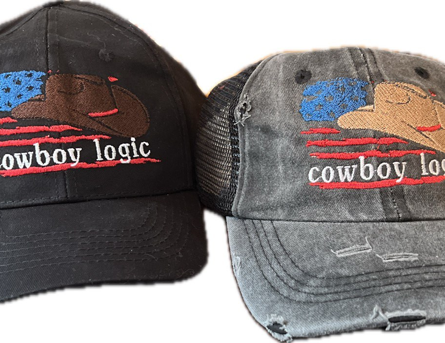Cowboy Logic Hats | Angels Patriot