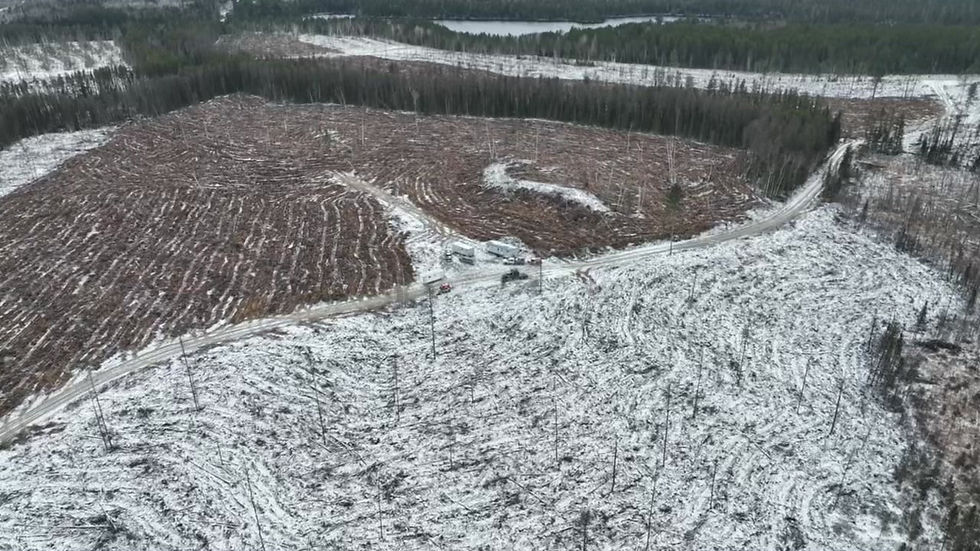Tree Planting In Ontario | Heritage Reforestation Inc.
