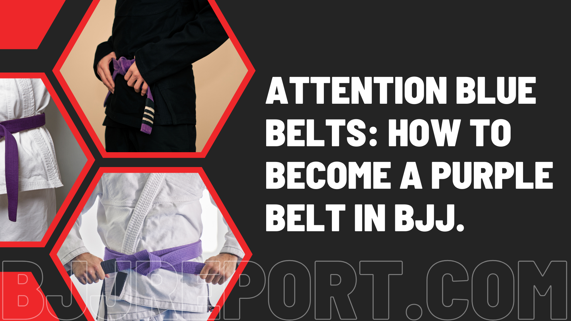 Blue Belts: How to become a Purple Belt in BJJ.