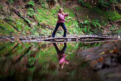QiGong Group Classes | Roxanne Harrison