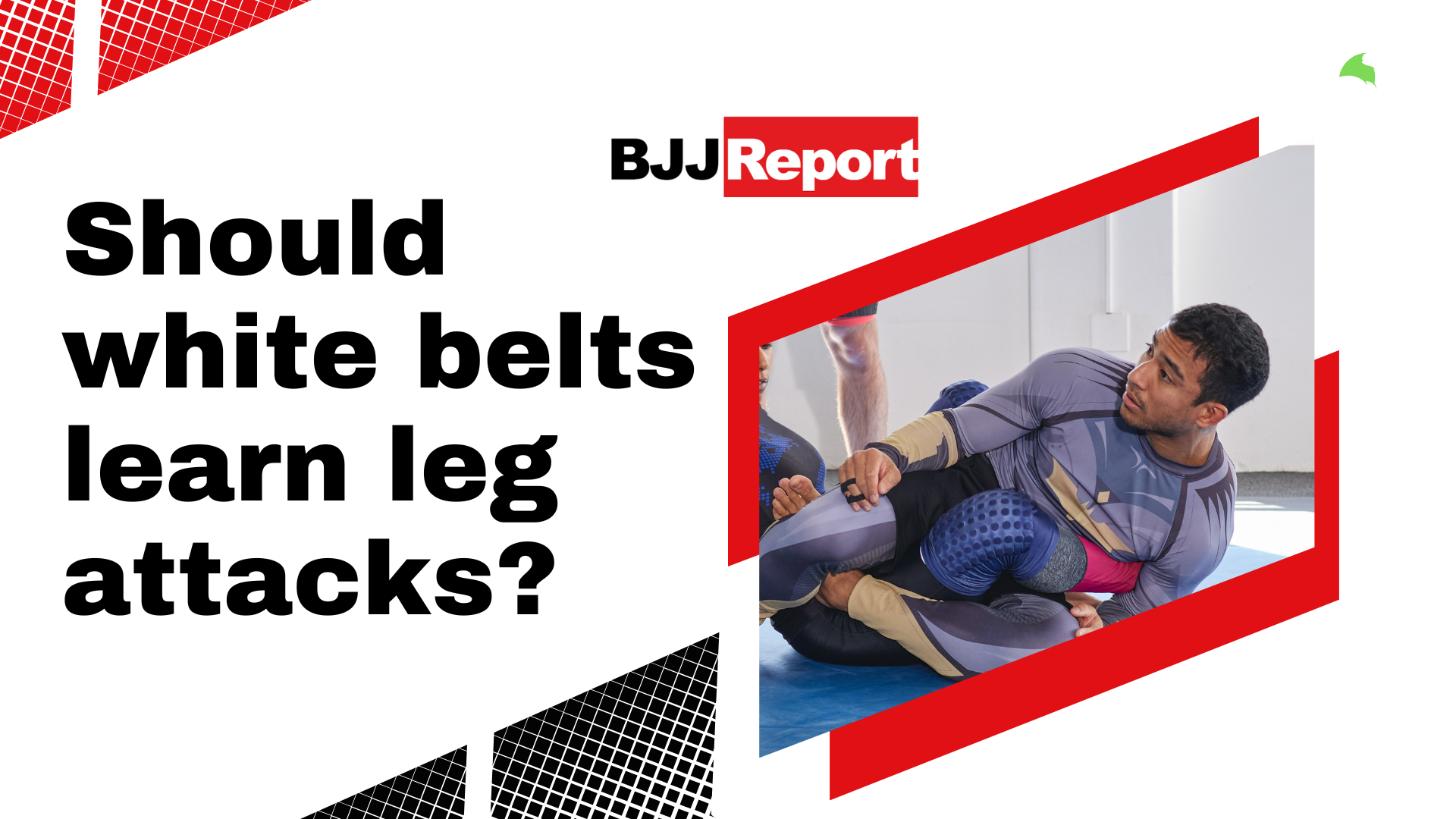 Should white belts learn leg attacks?