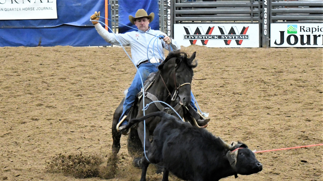 Stallions | Stout Performance Horses