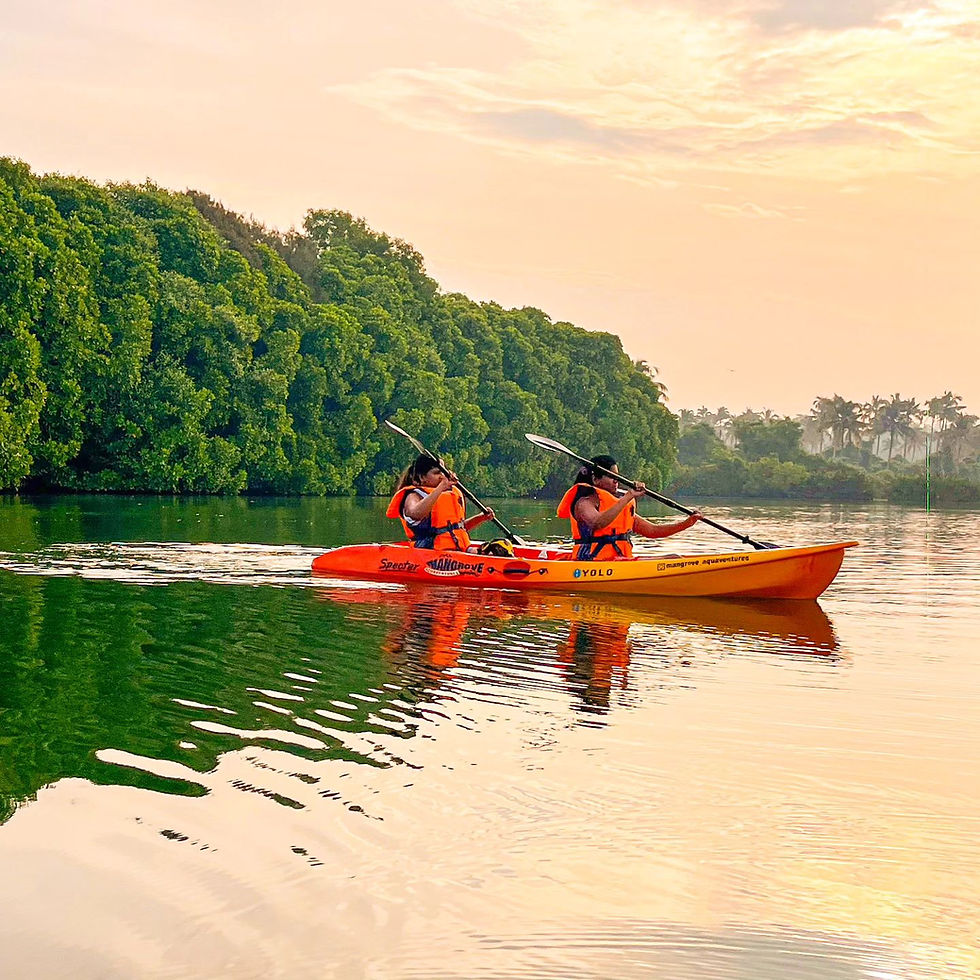 Best Kayaking Places in Kerala 2024