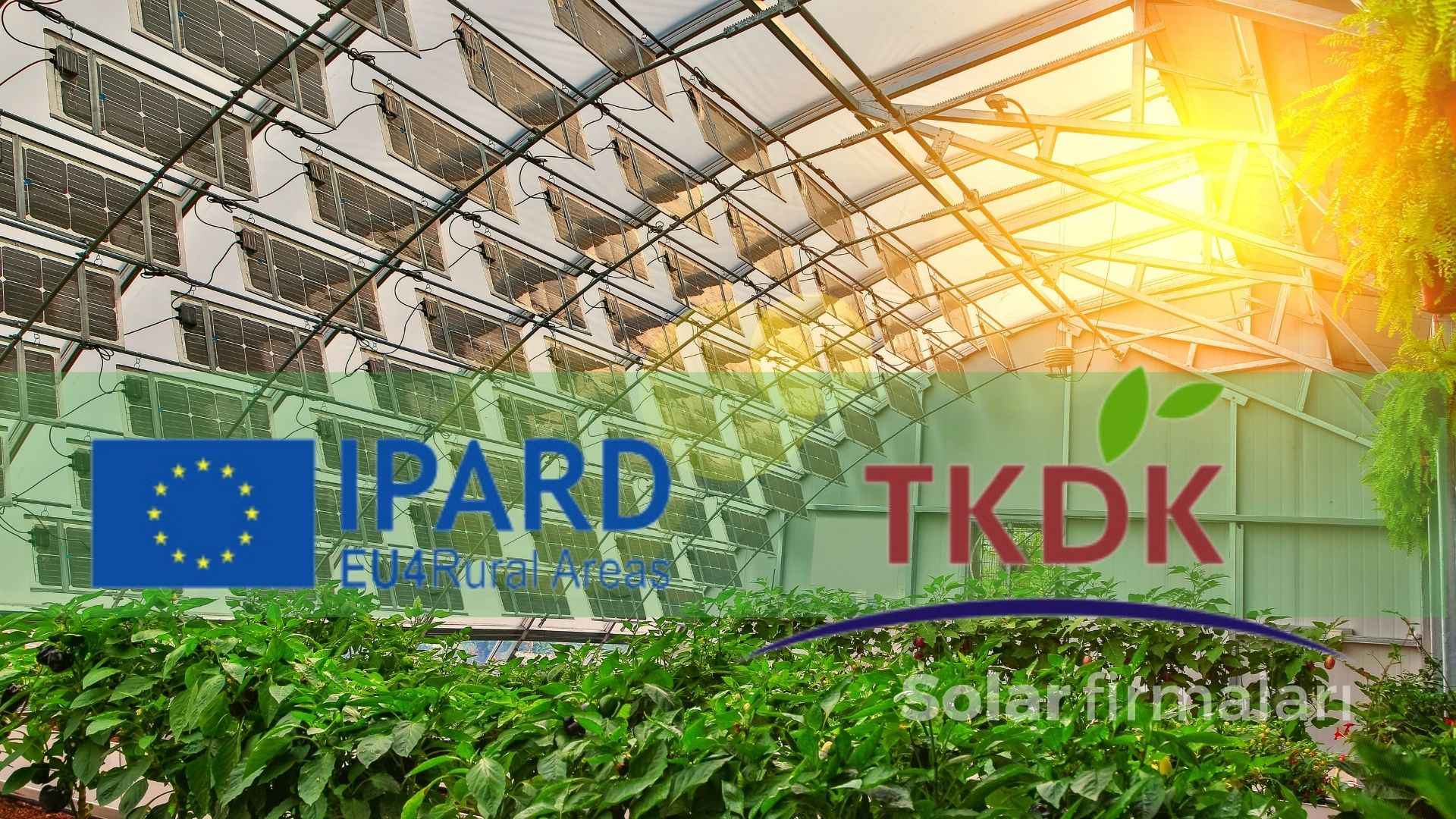 IPARD 2024 Hibe Programları ve Başvuru Süreçleri | Solar Firmaları