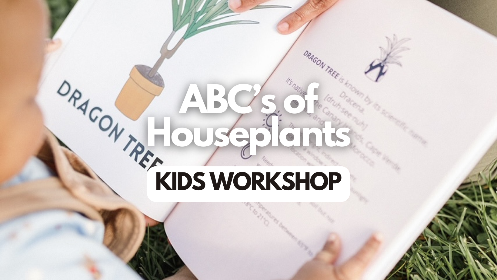 ABC's of Houseplants: Grow & Create! Kids Workshop | Robert Plante