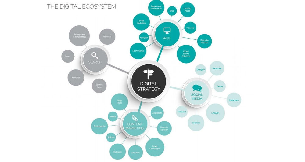 Digital Ecosystem