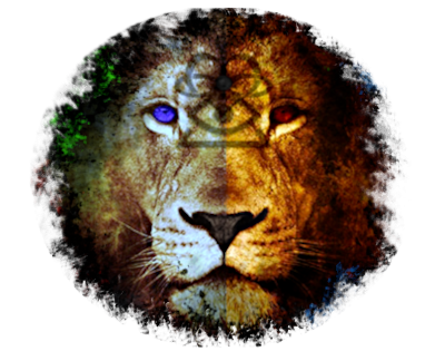 Stephen Honan | Steveh