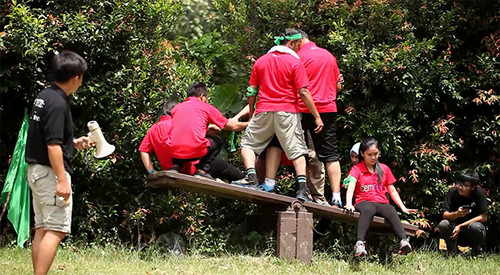 WHALE WATCH | teambuilding