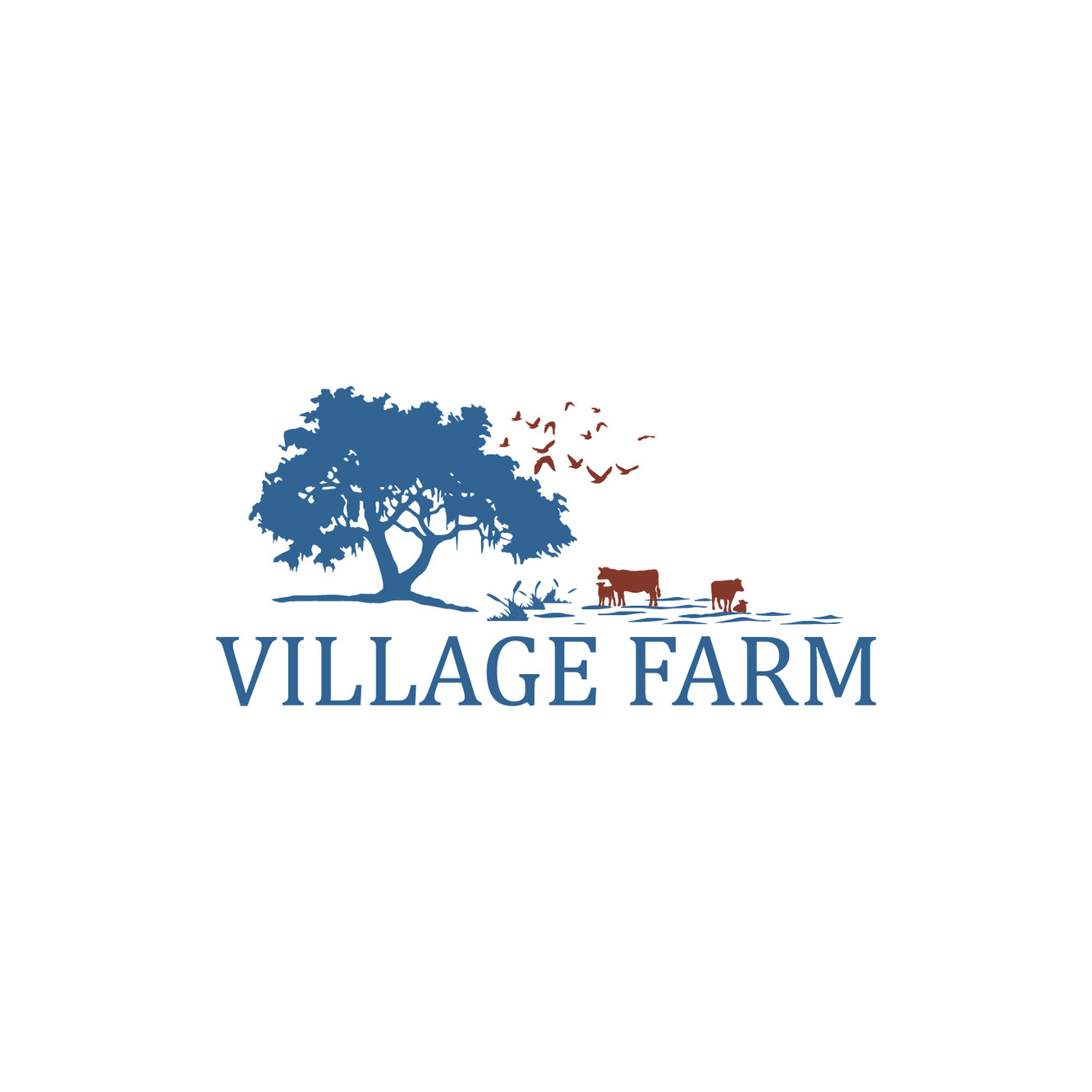 Contact | Village Farm