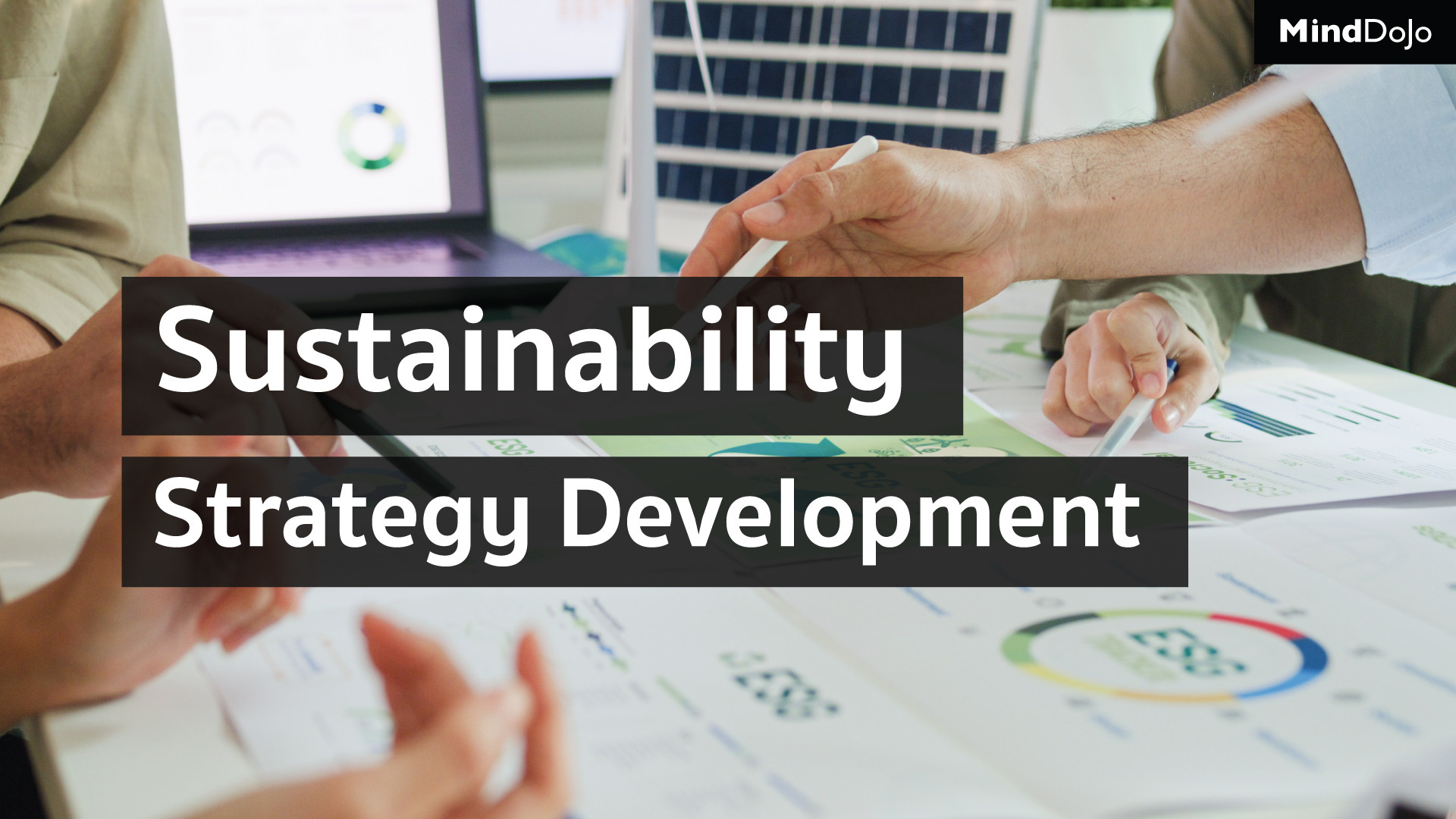 Sustainability Strategy Development