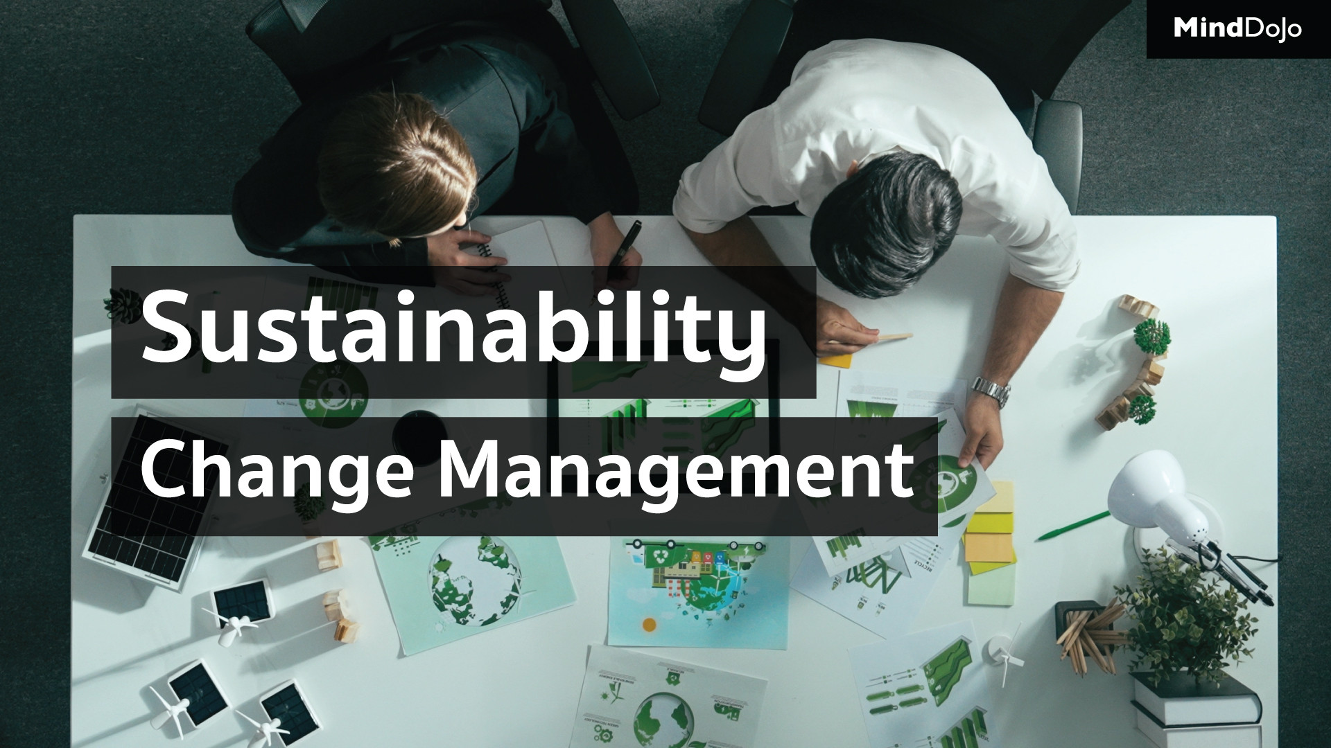 Sustainability Change Management