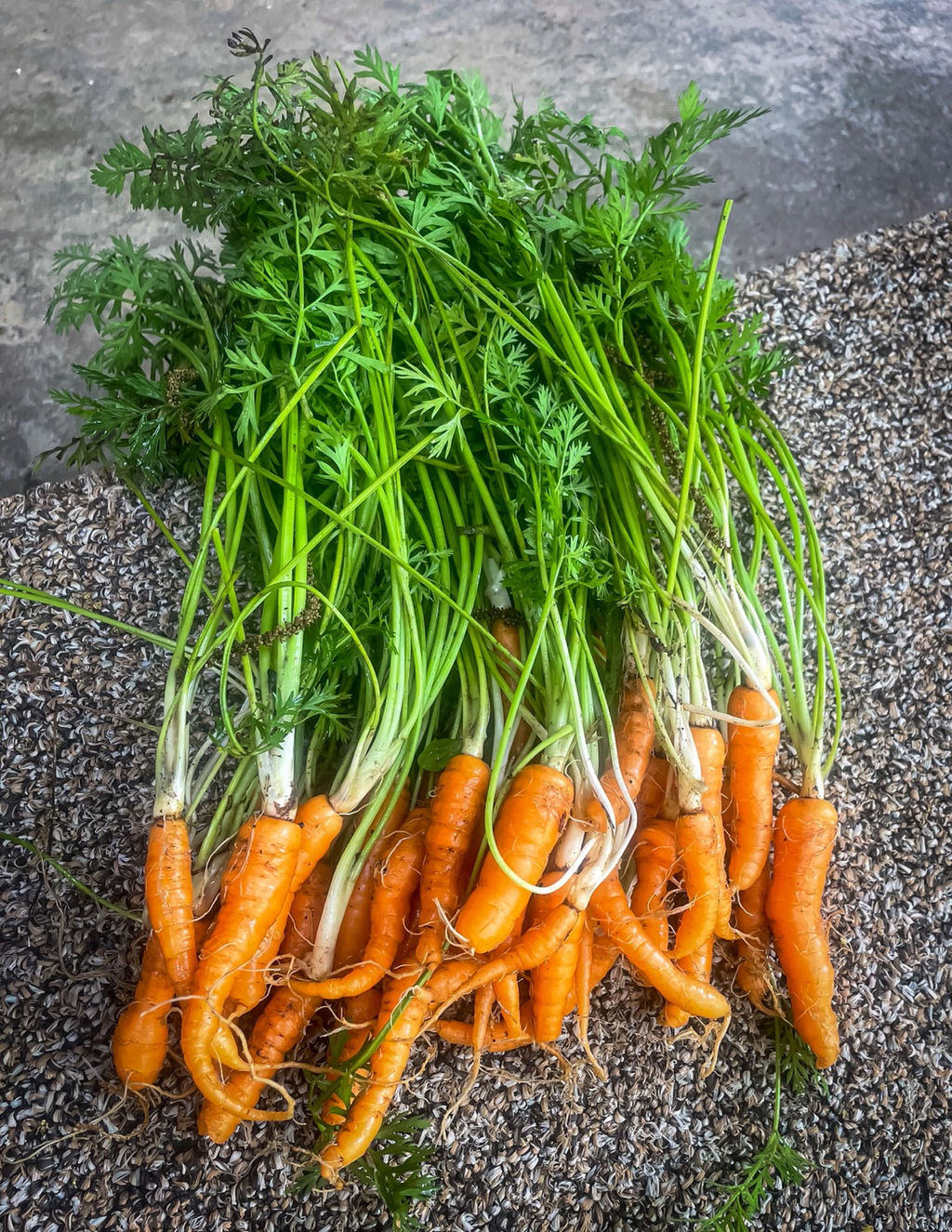 Christian | CrossTrained Blog