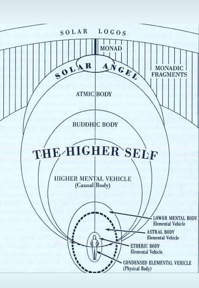 The Human Energy Field