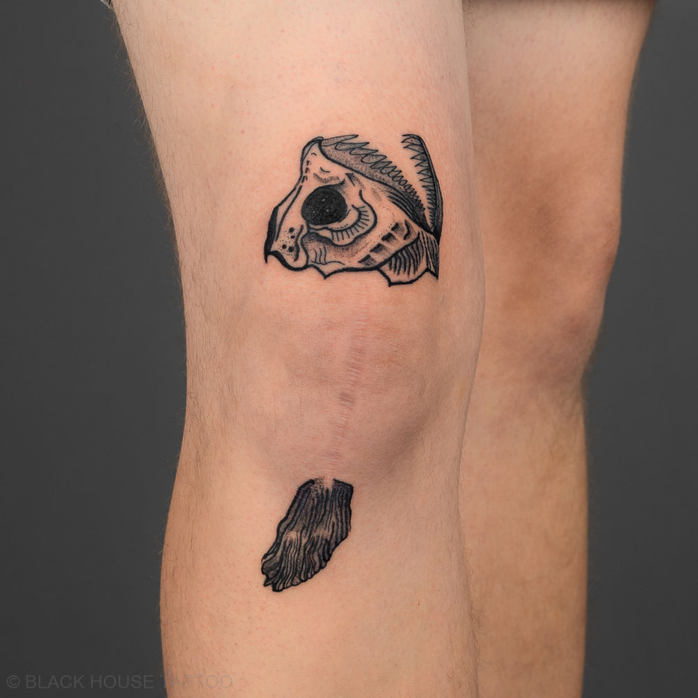 Ryba tetování / Fish tattoo